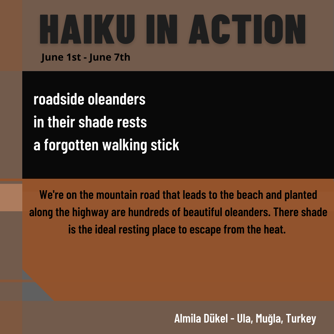 Nick Virgilio Haiku Association