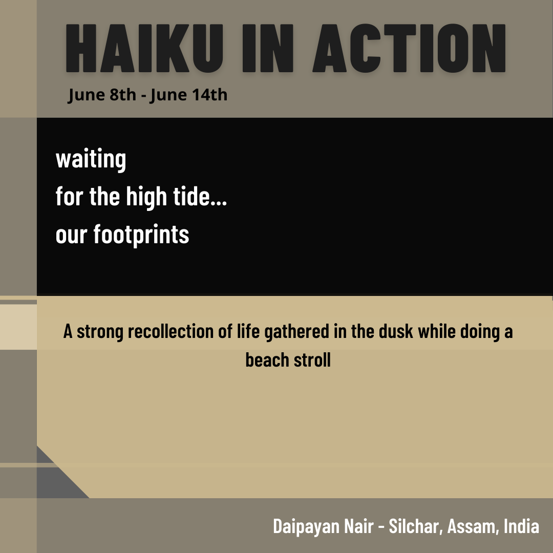 Nick Virgilio Haiku Association