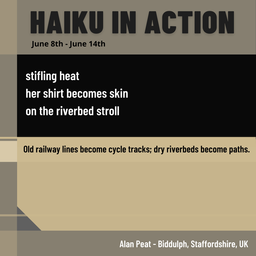 Nick Virgilio Haiku Association