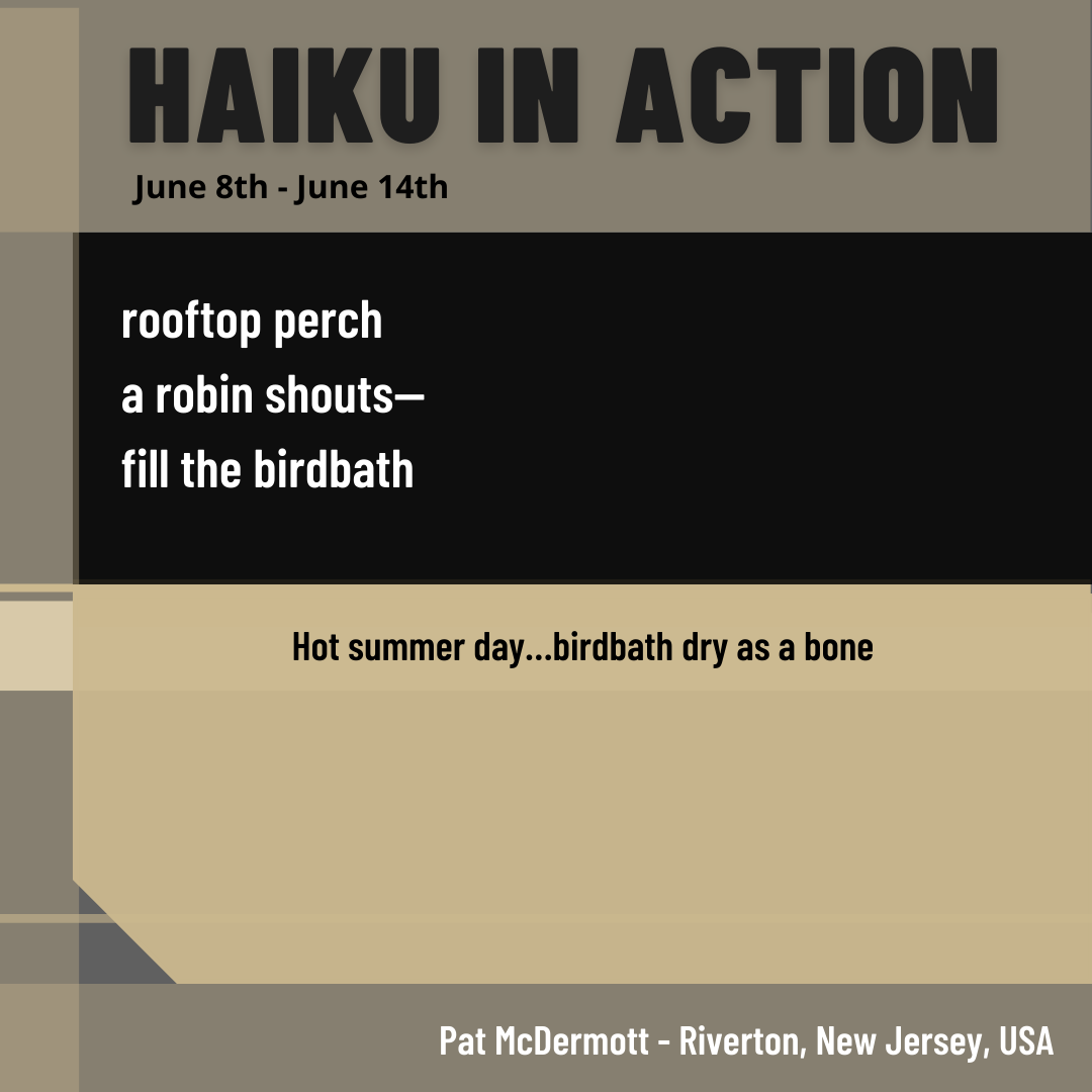 Nick Virgilio Haiku Association