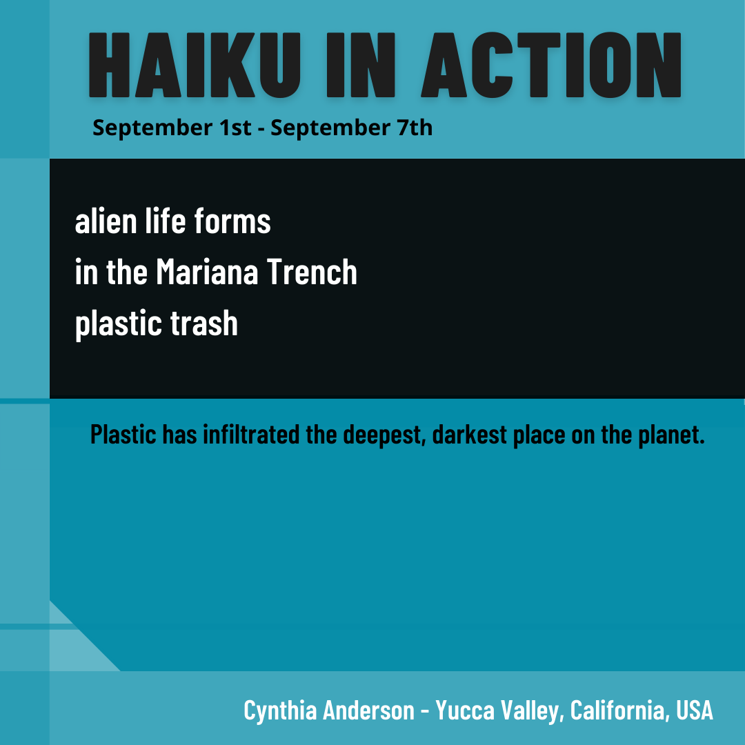 Haiku in Action Week 33 — Nick Virgilio Haiku Association