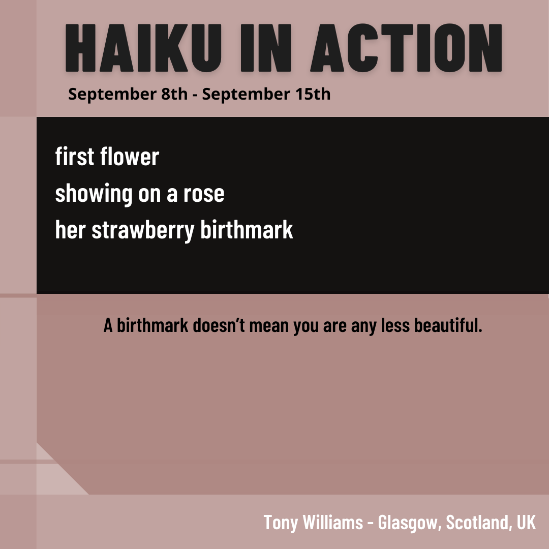 Nick Virgilio Haiku Association