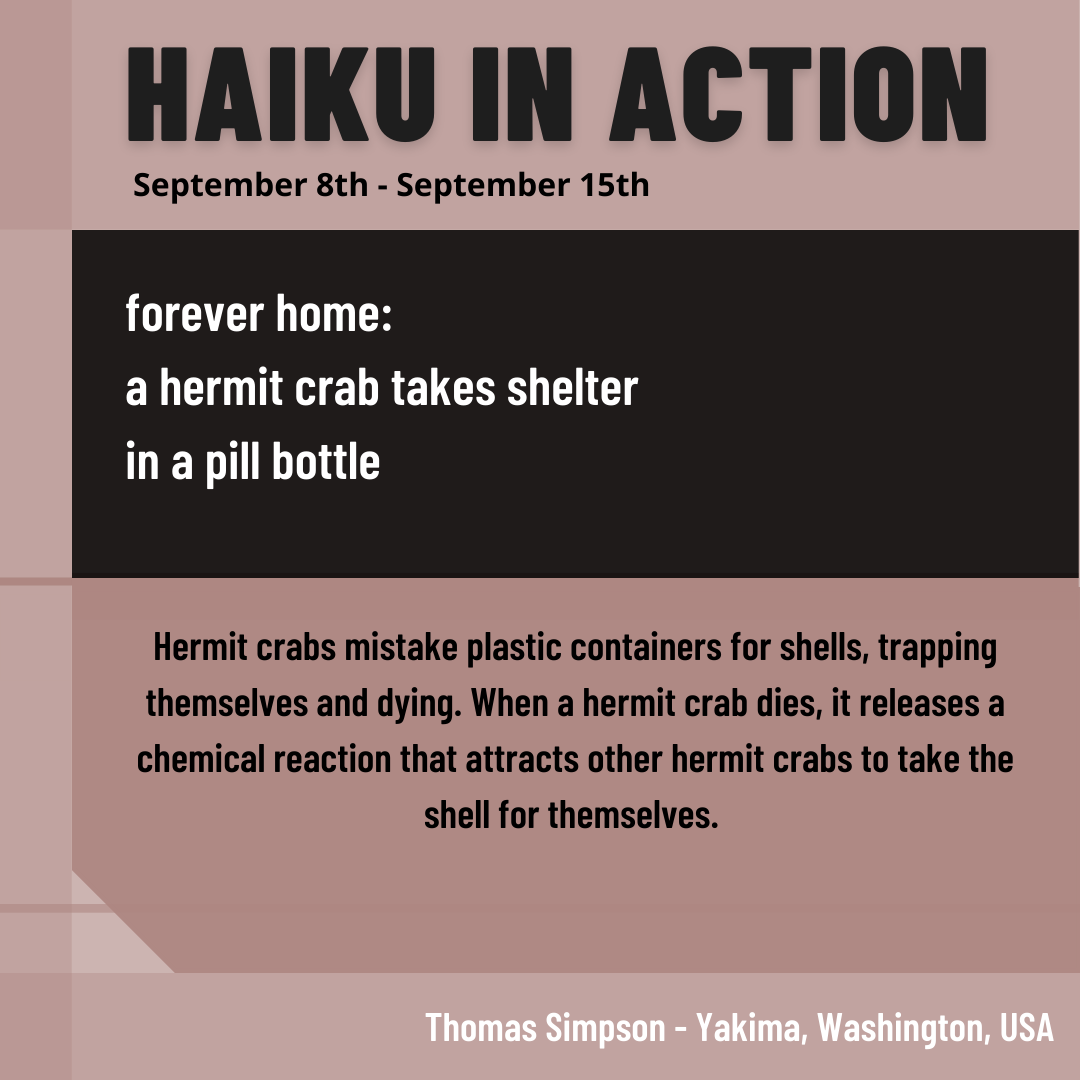 Nick Virgilio Haiku Association