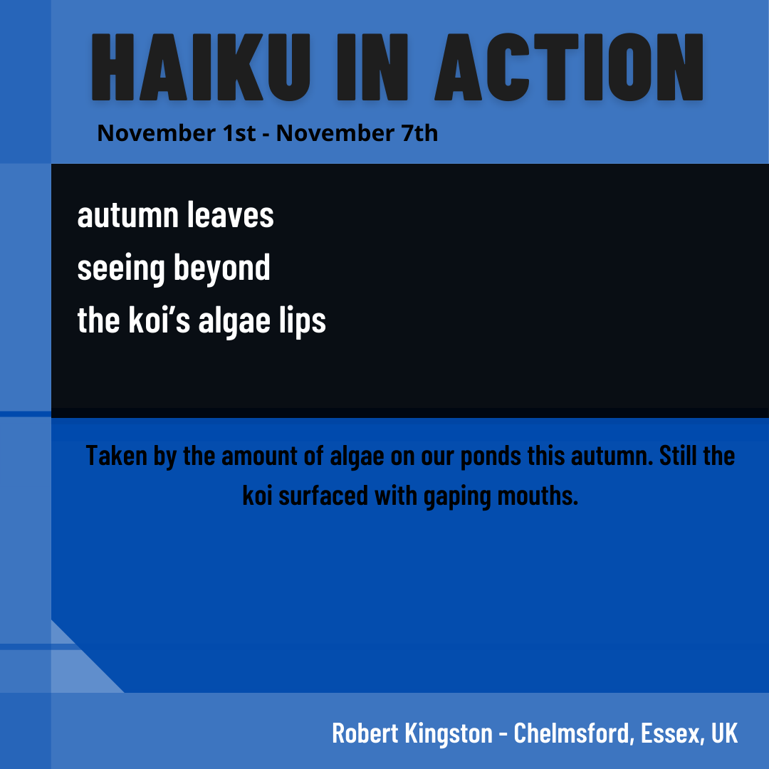 Nick Virgilio Haiku Association