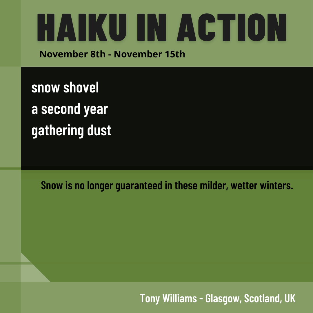 Haiku in Action Week 41 — Nick Virgilio Haiku Association