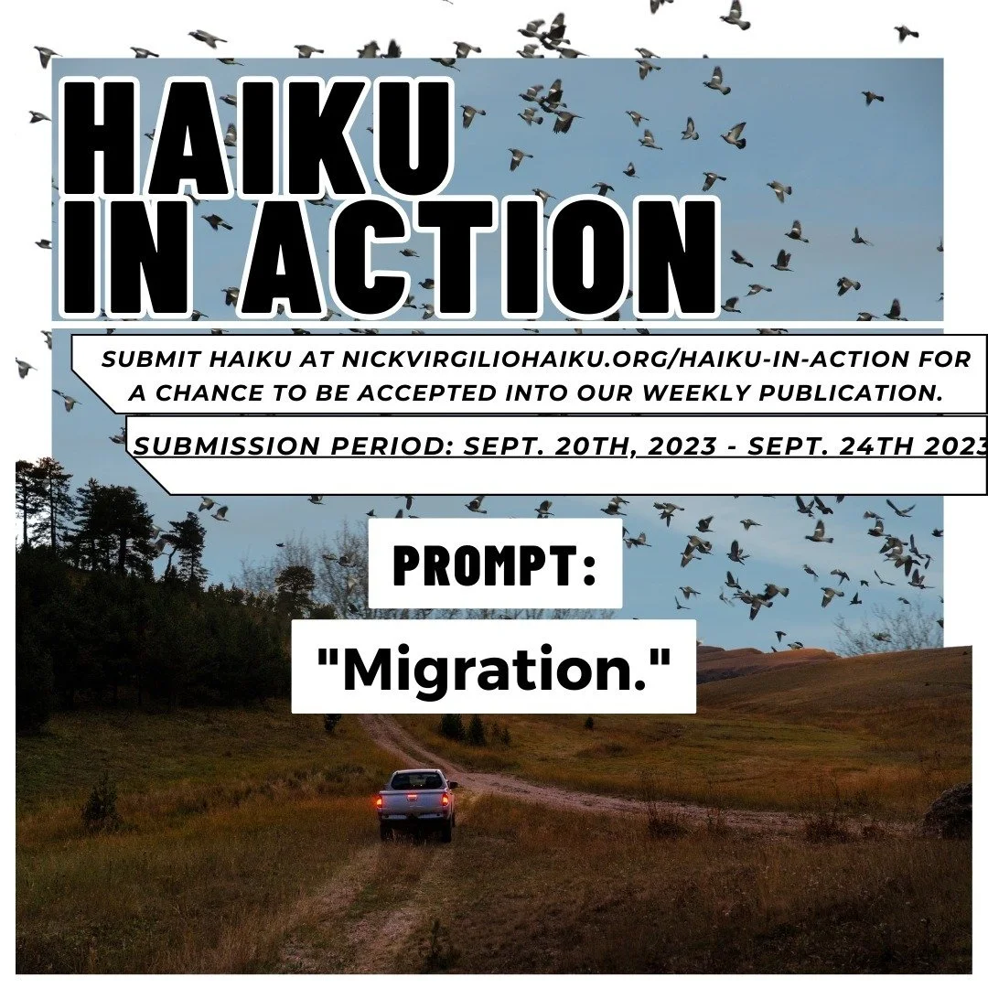 Haiku In Action Prompt — Nick Virgilio Haiku Association