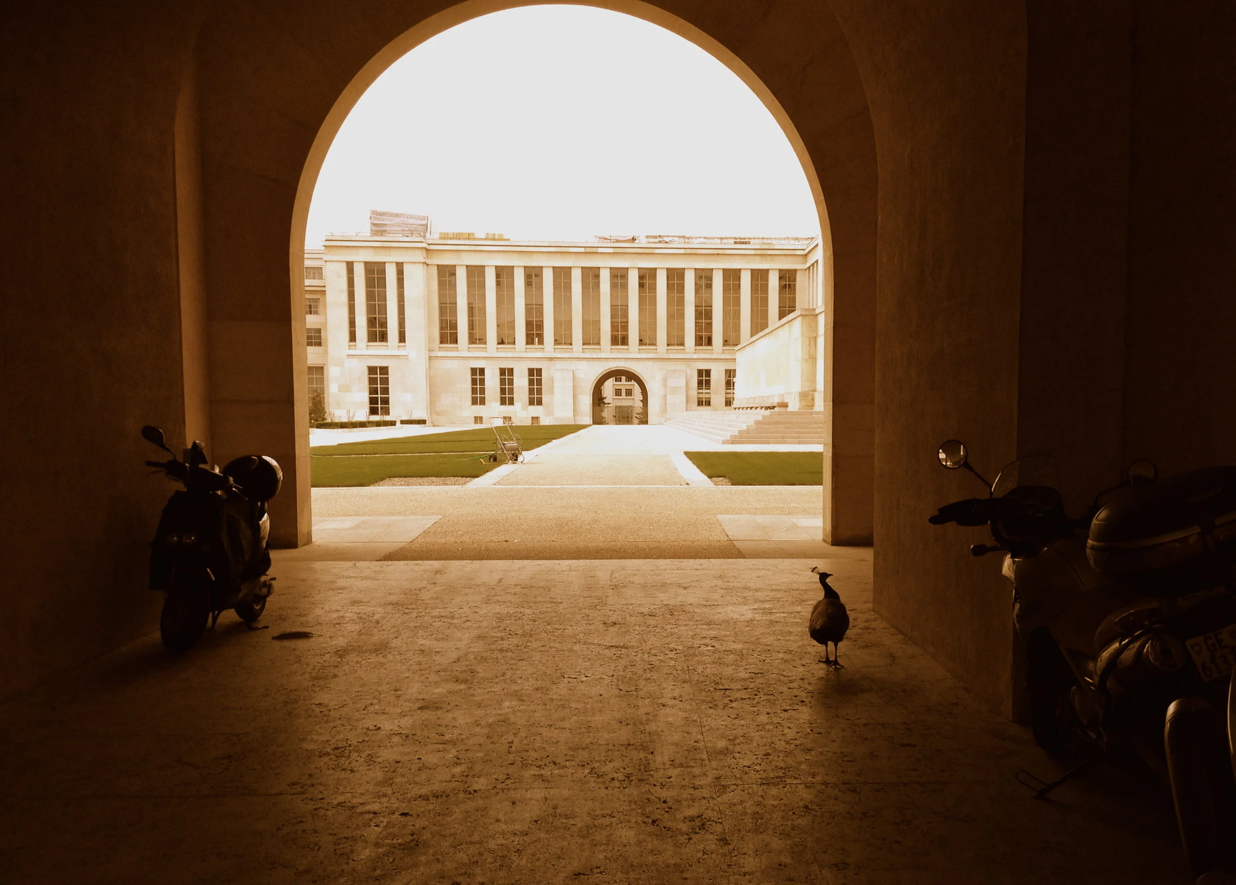 Research & Writing — Anjali Dayal