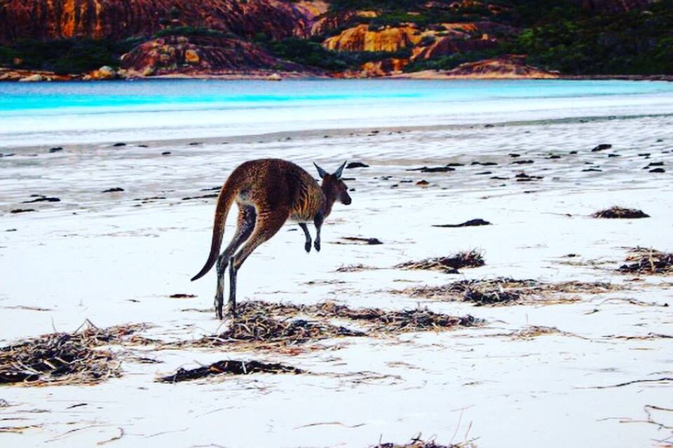 ADVENTURE TRAVEL — Billabong Backpackers Resort Perth Backpackers Hostel