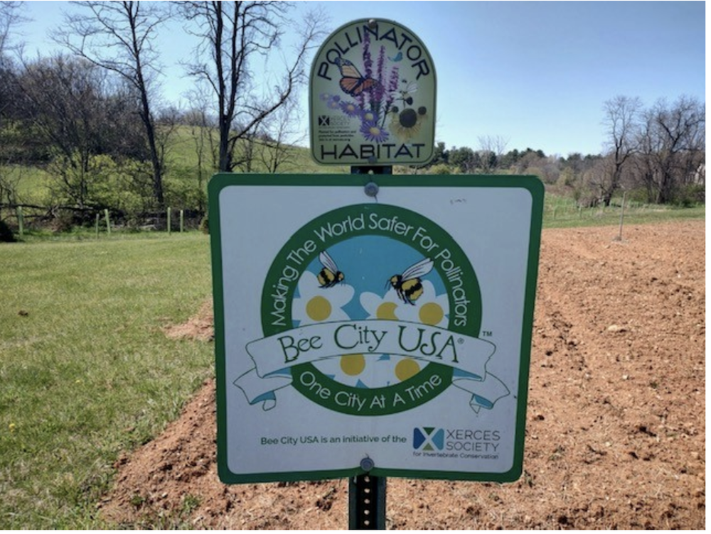 Westminster: Maryland’s Newest Bird City — Maryland Bird Conservation ...