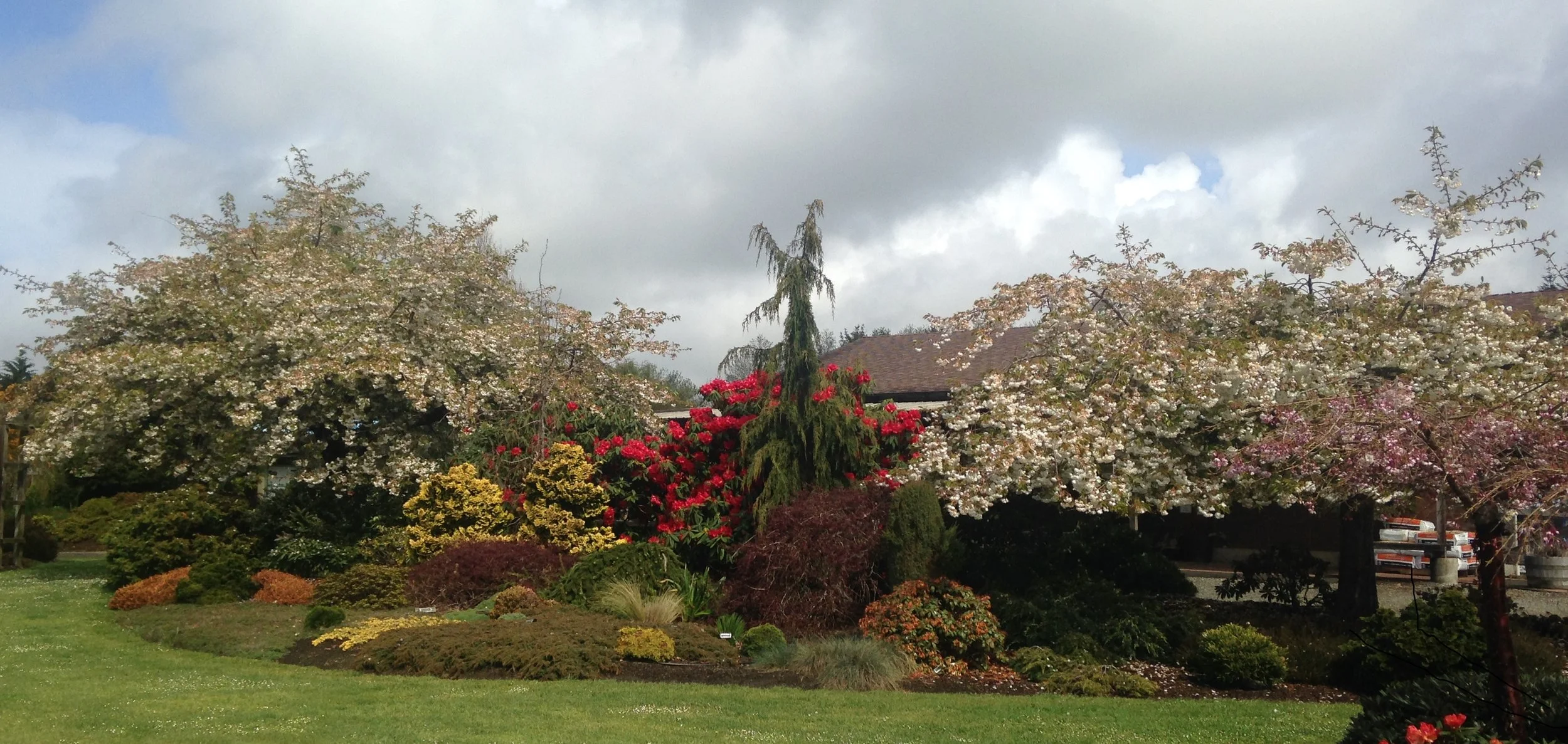 Singing Tree Gardens Landscape Garden Designer Arcata CA — Design by ...