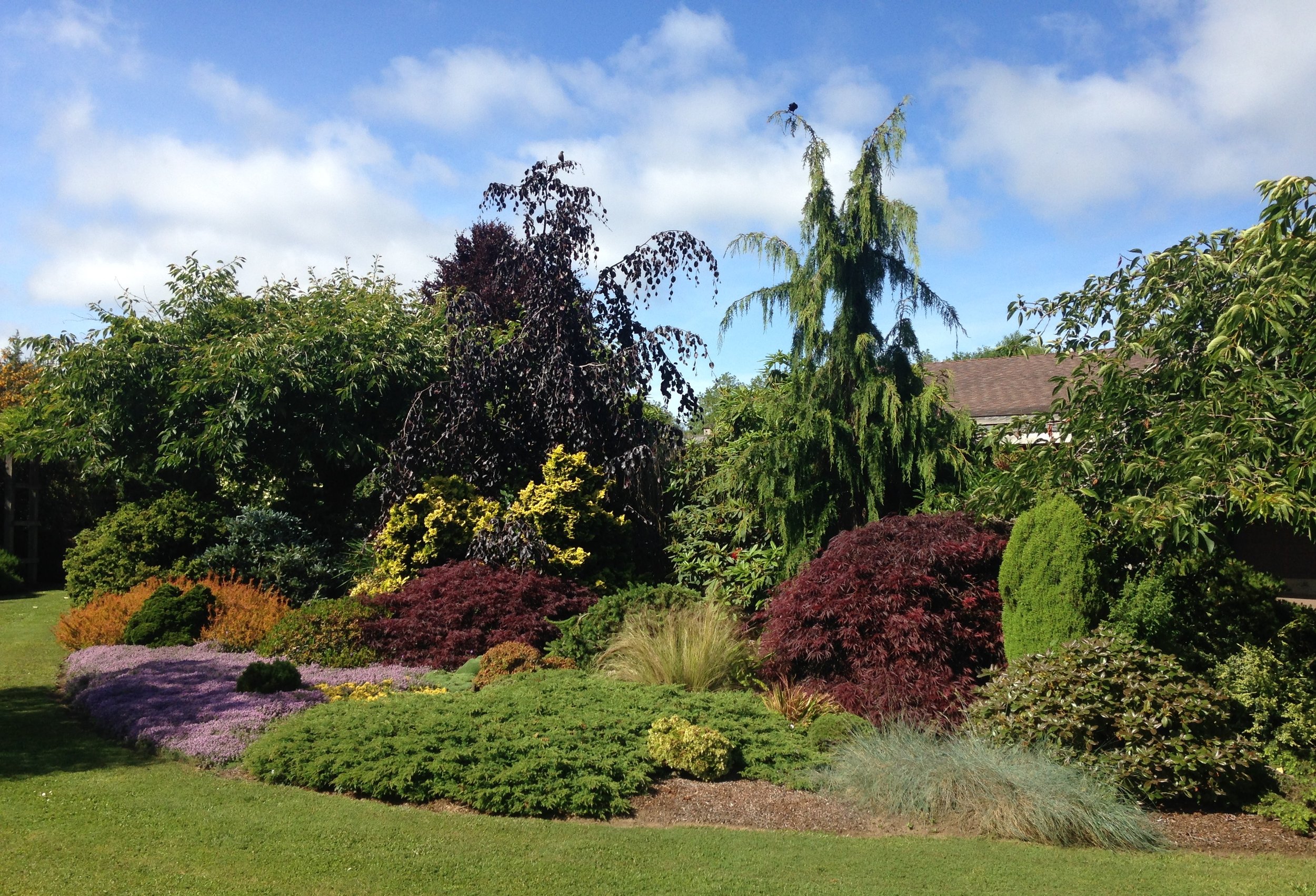 Singing Tree Gardens Landscape Garden Designer Arcata CA — Design by ...