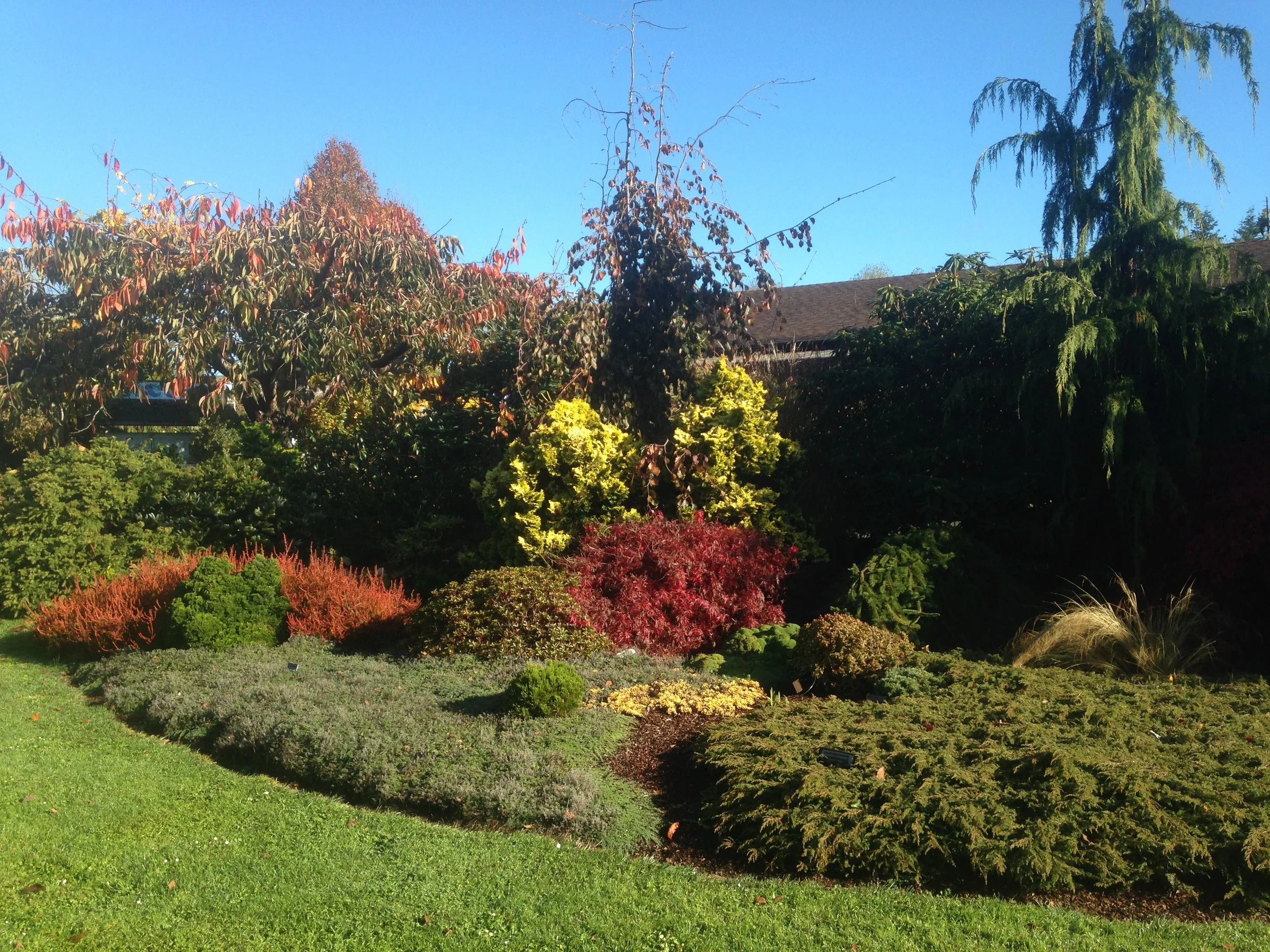 Singing Tree Gardens Landscape Garden Designer Arcata CA — Design by ...