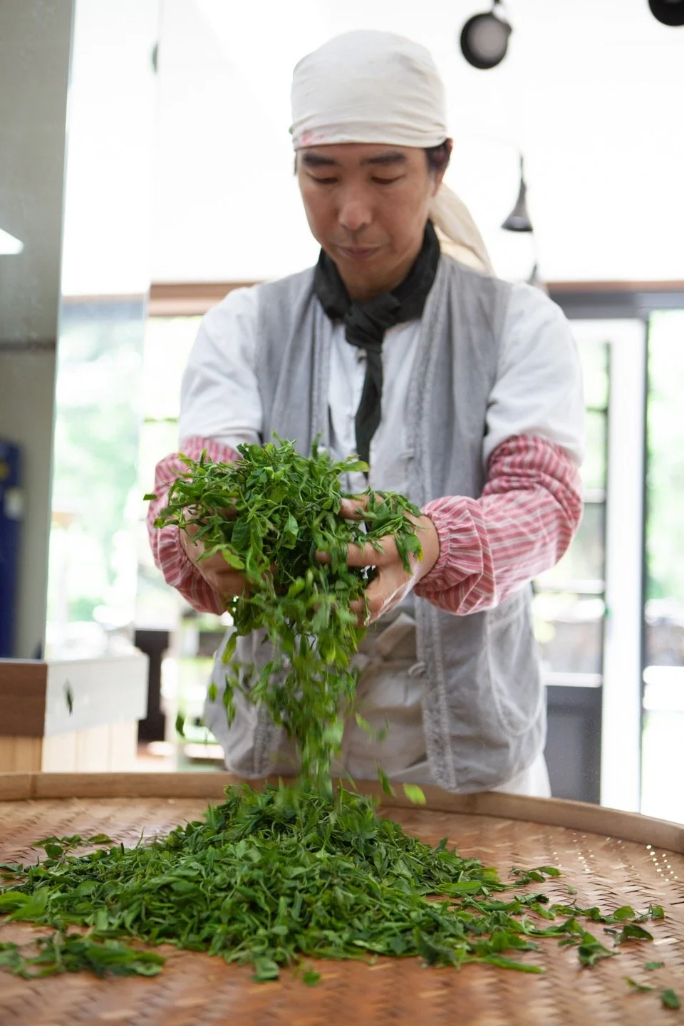 Korea’s Tea Tradition: The Elegance of Hadong — Korean Cultural Center ...