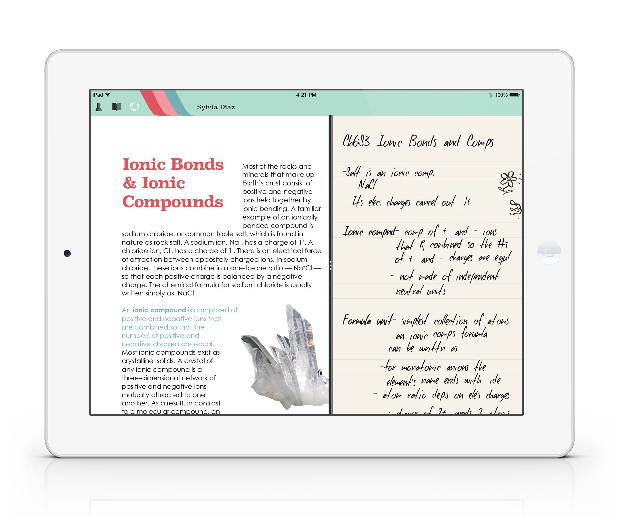 Query — Mallory B Schultz