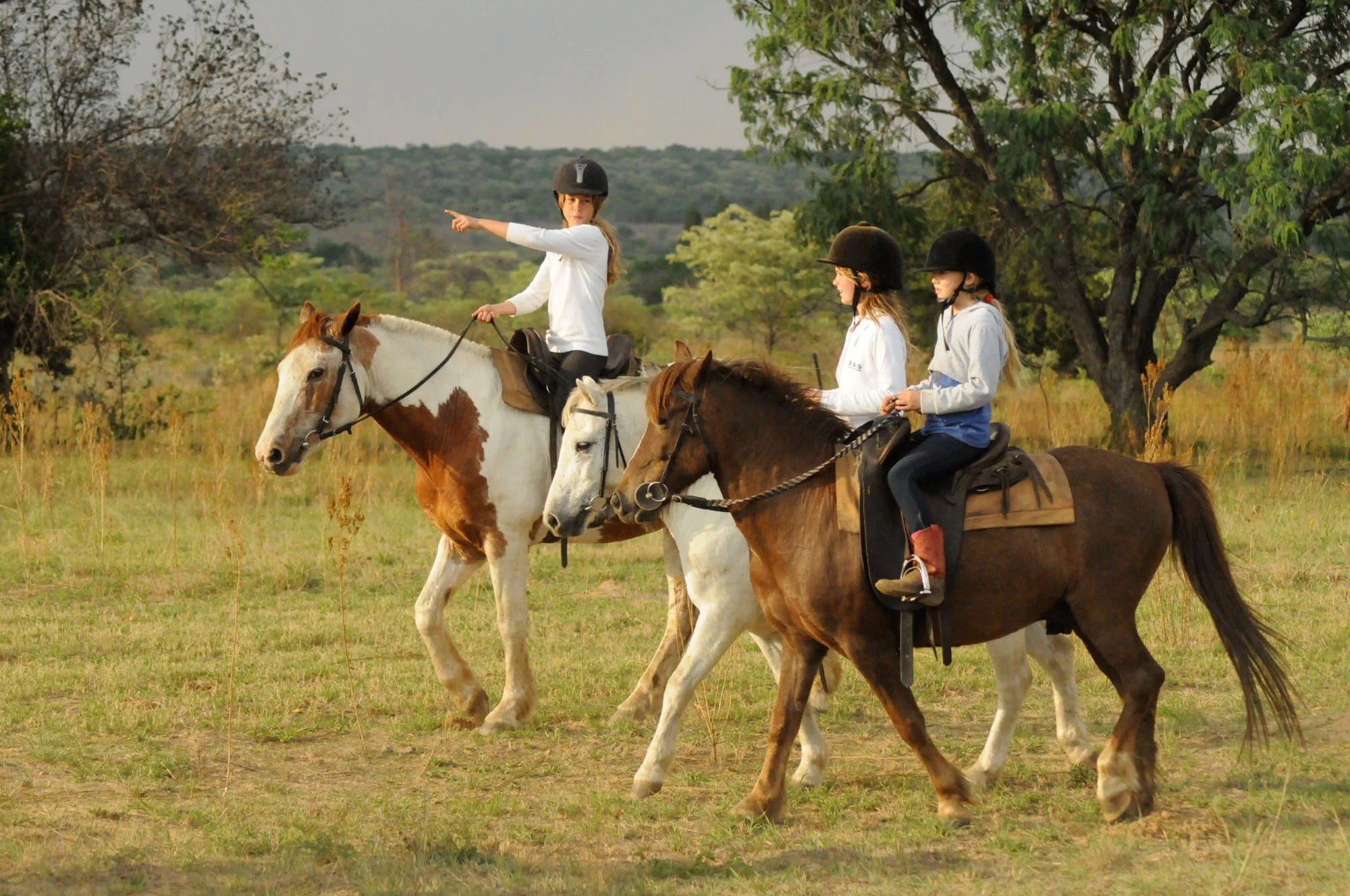 Kenya: "African Ranch" 9 jours — Valises en Famille