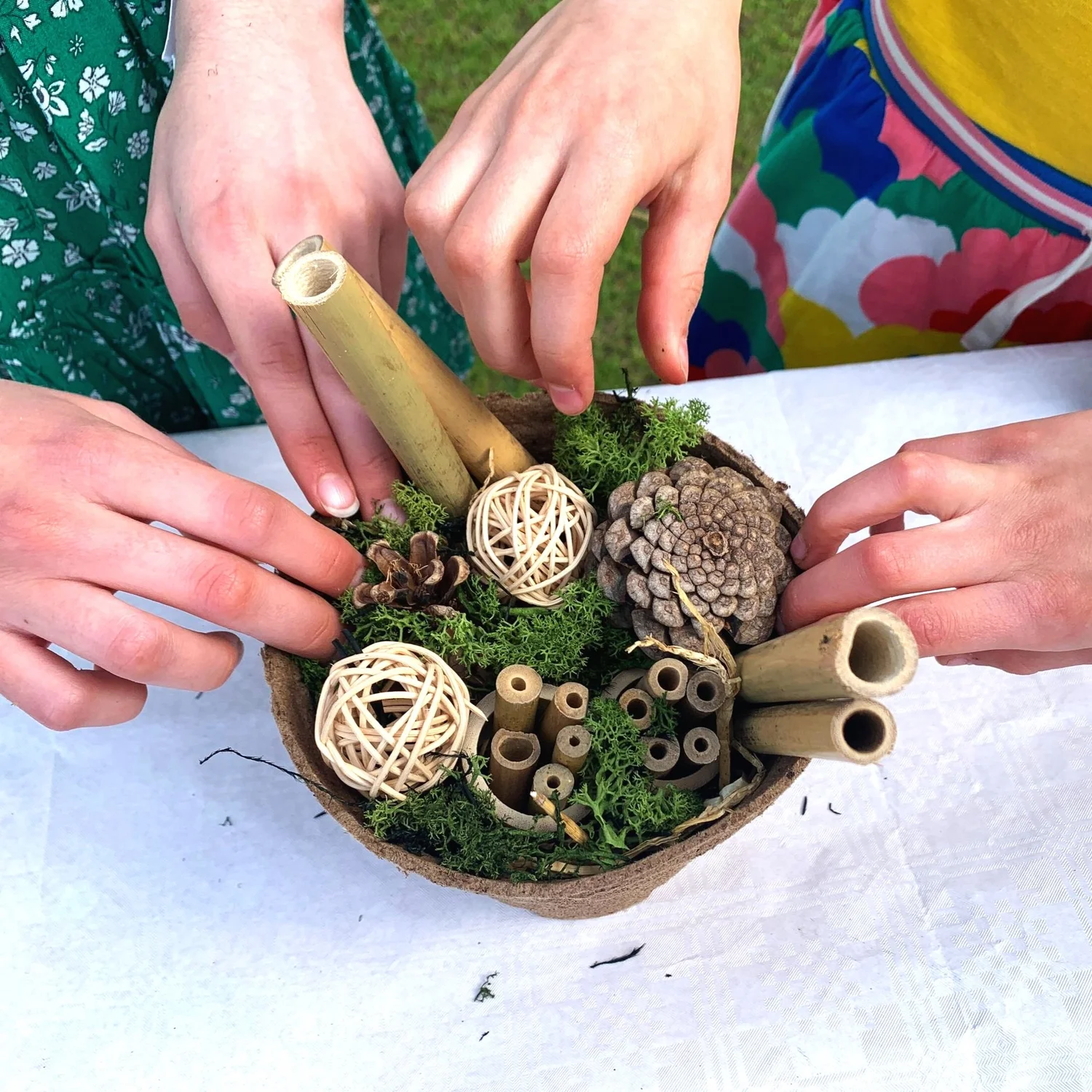Family Friendly Activities This Summer | The Crafty Hen