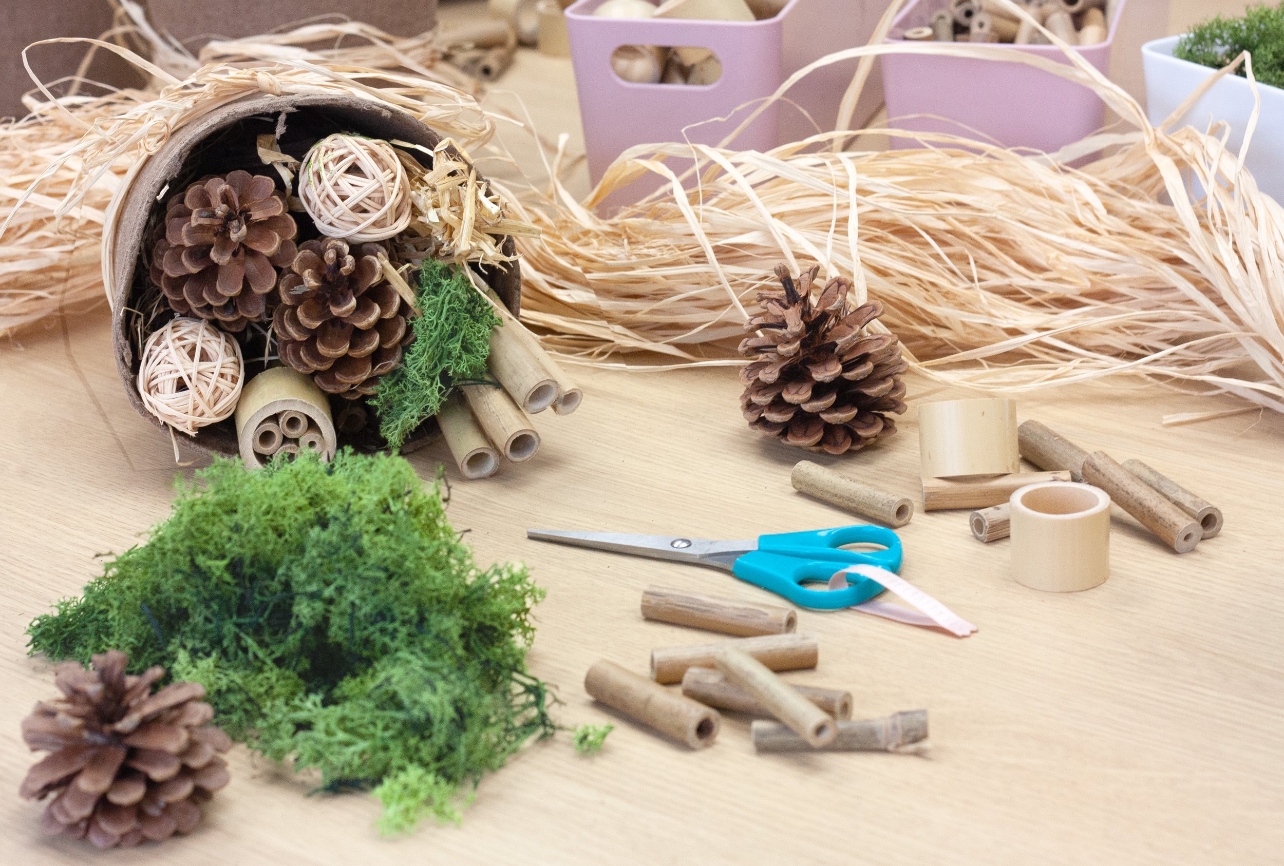Family Friendly Craft Activities | The Crafty Hen