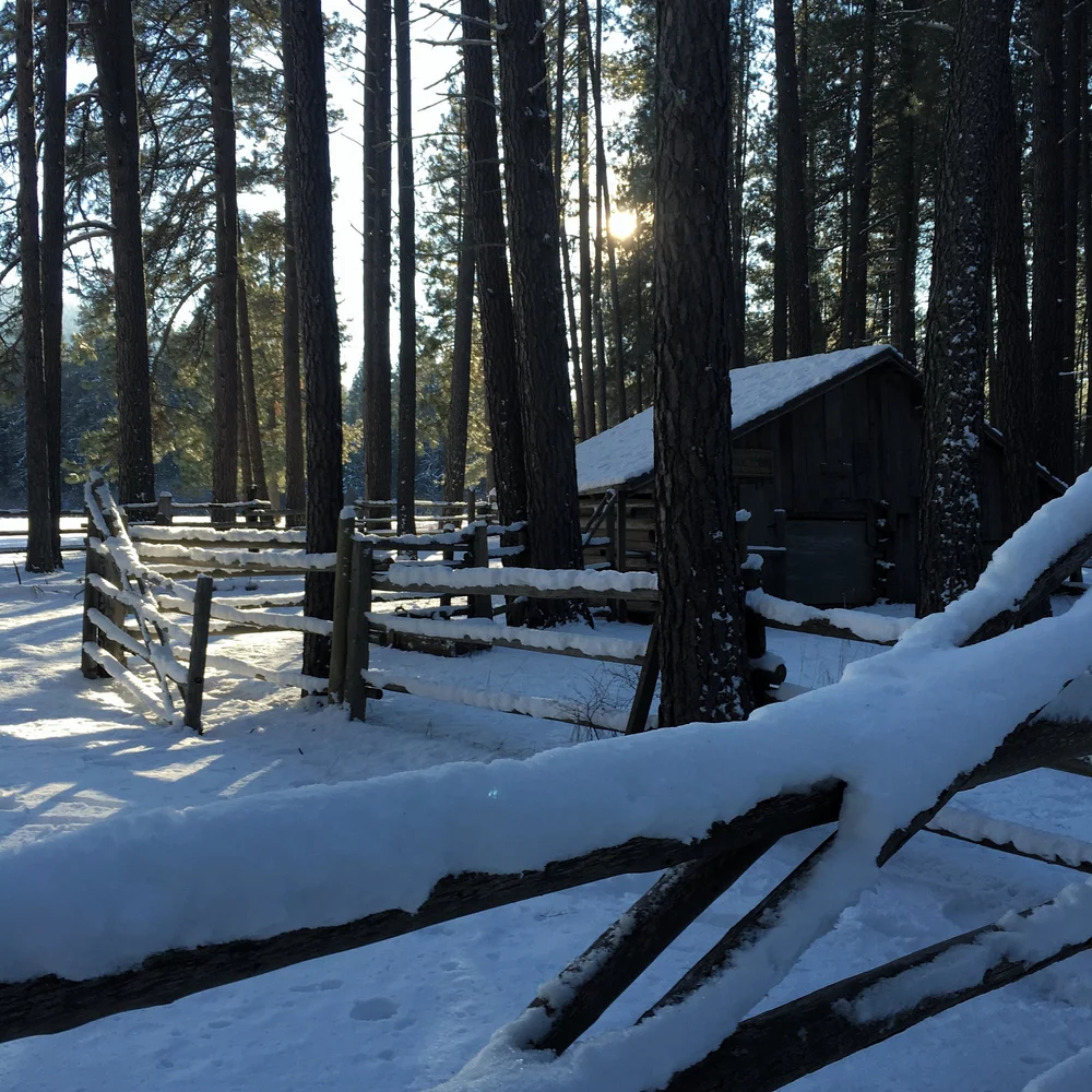 Snow+Walk=Magic. — Blended One