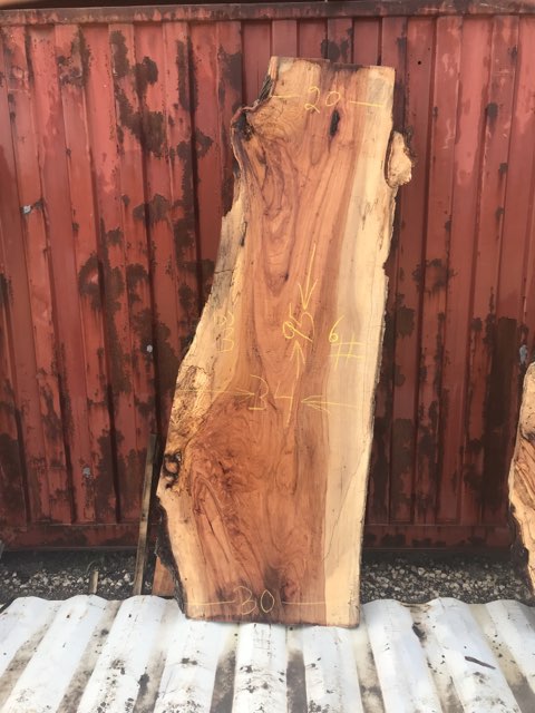 Pecan Slabs - Available — harden SAWMILL