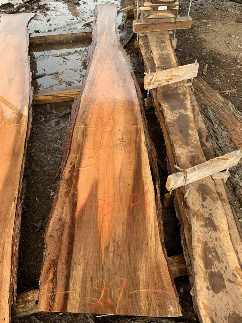 Pecan Slabs - Available — harden SAWMILL