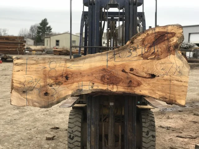 Pecan Slabs - Available — harden SAWMILL