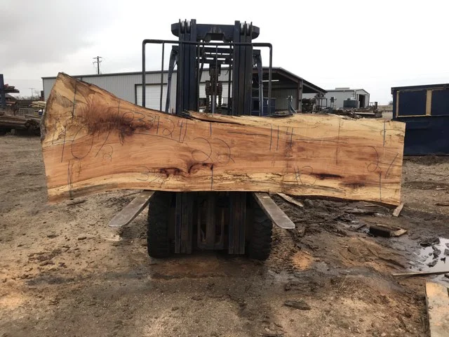 Pecan Slabs - Available — harden SAWMILL