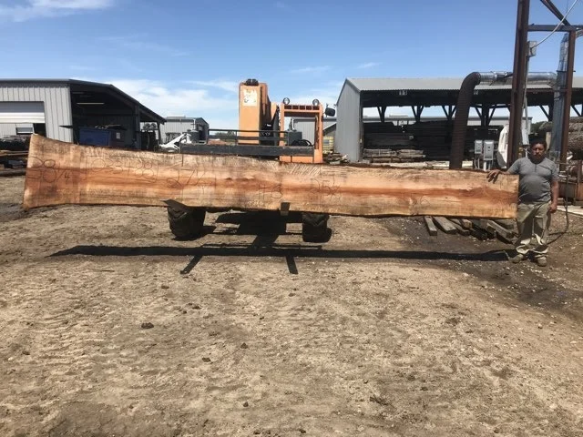 Pecan Slabs - Available — harden SAWMILL