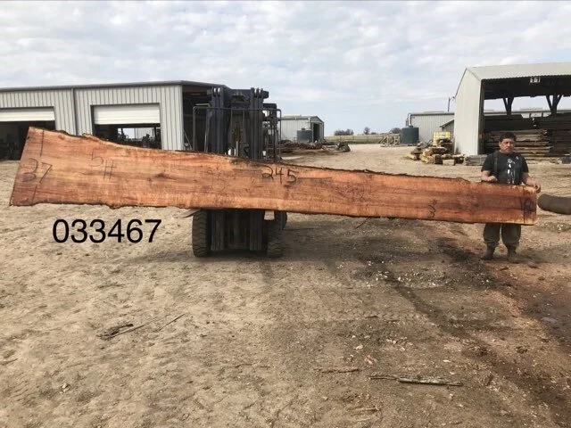 Pecan Slabs - Available — harden SAWMILL