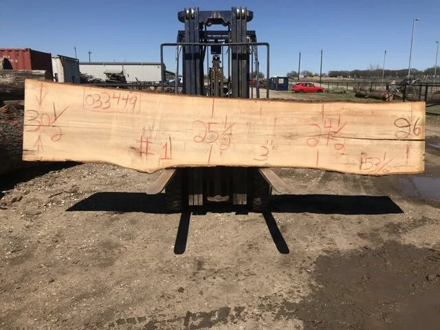 Pecan Slabs - Available — harden SAWMILL