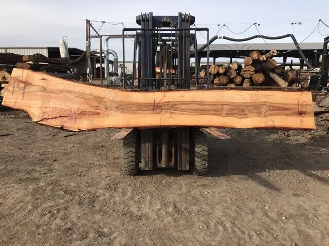 Pecan Slabs - Available — harden SAWMILL