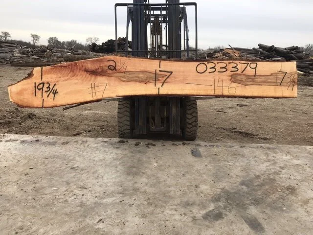 Pecan Slabs - Available — harden SAWMILL