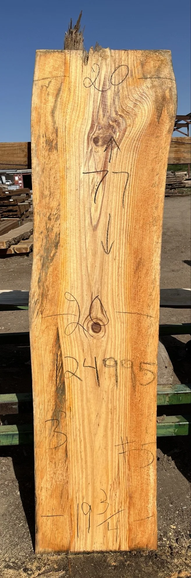 Pine Slabs Available — harden SAWMILL