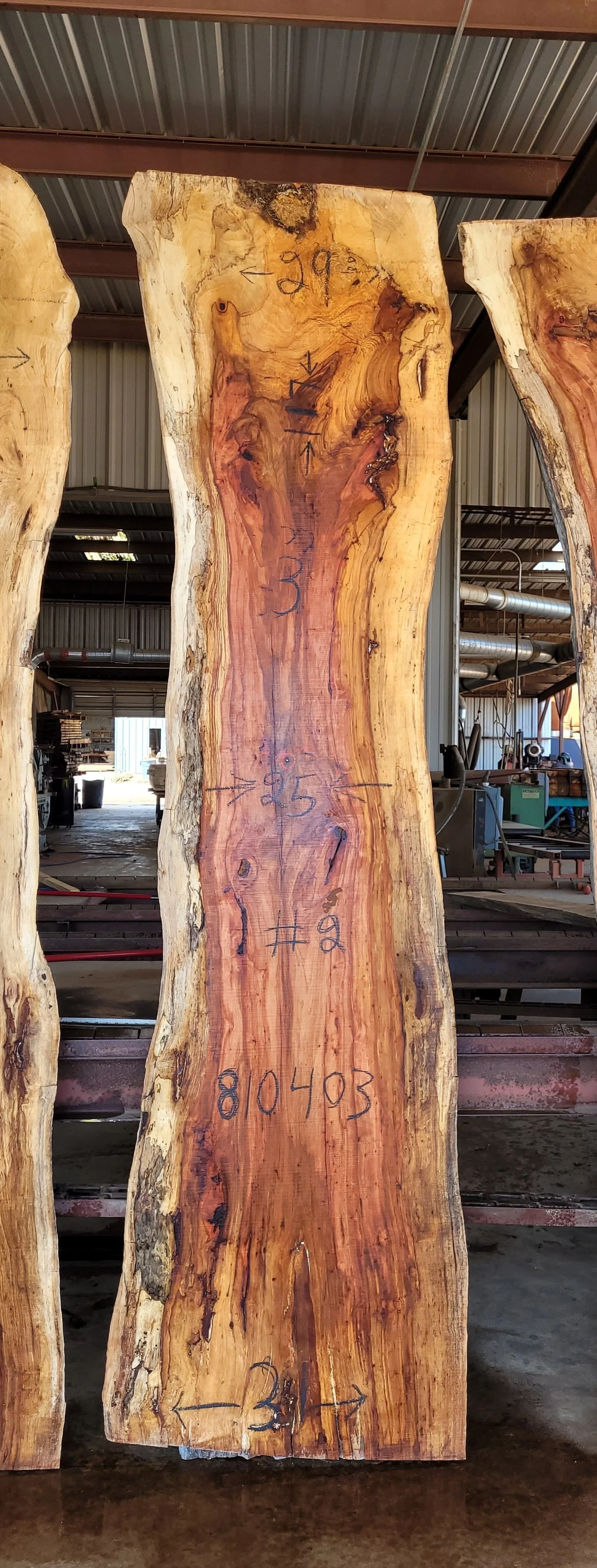 Pecan Slabs - Available — harden SAWMILL