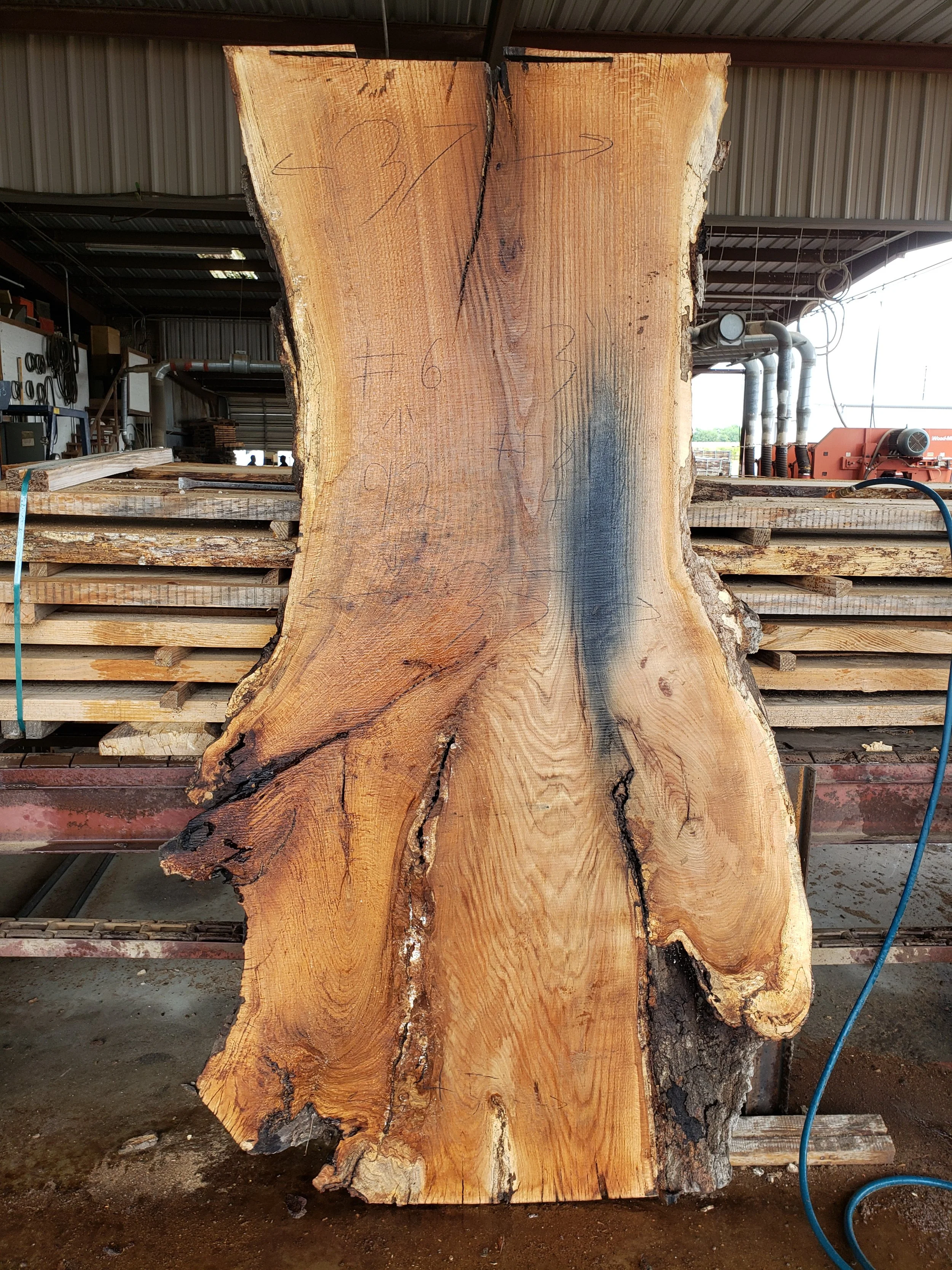 White Oak Slab- 810439- Available — harden SAWMILL