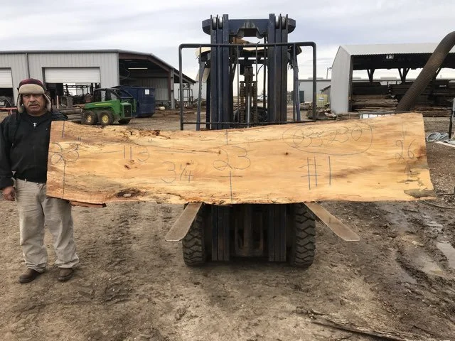 BB Pecan Slabs — harden SAWMILL