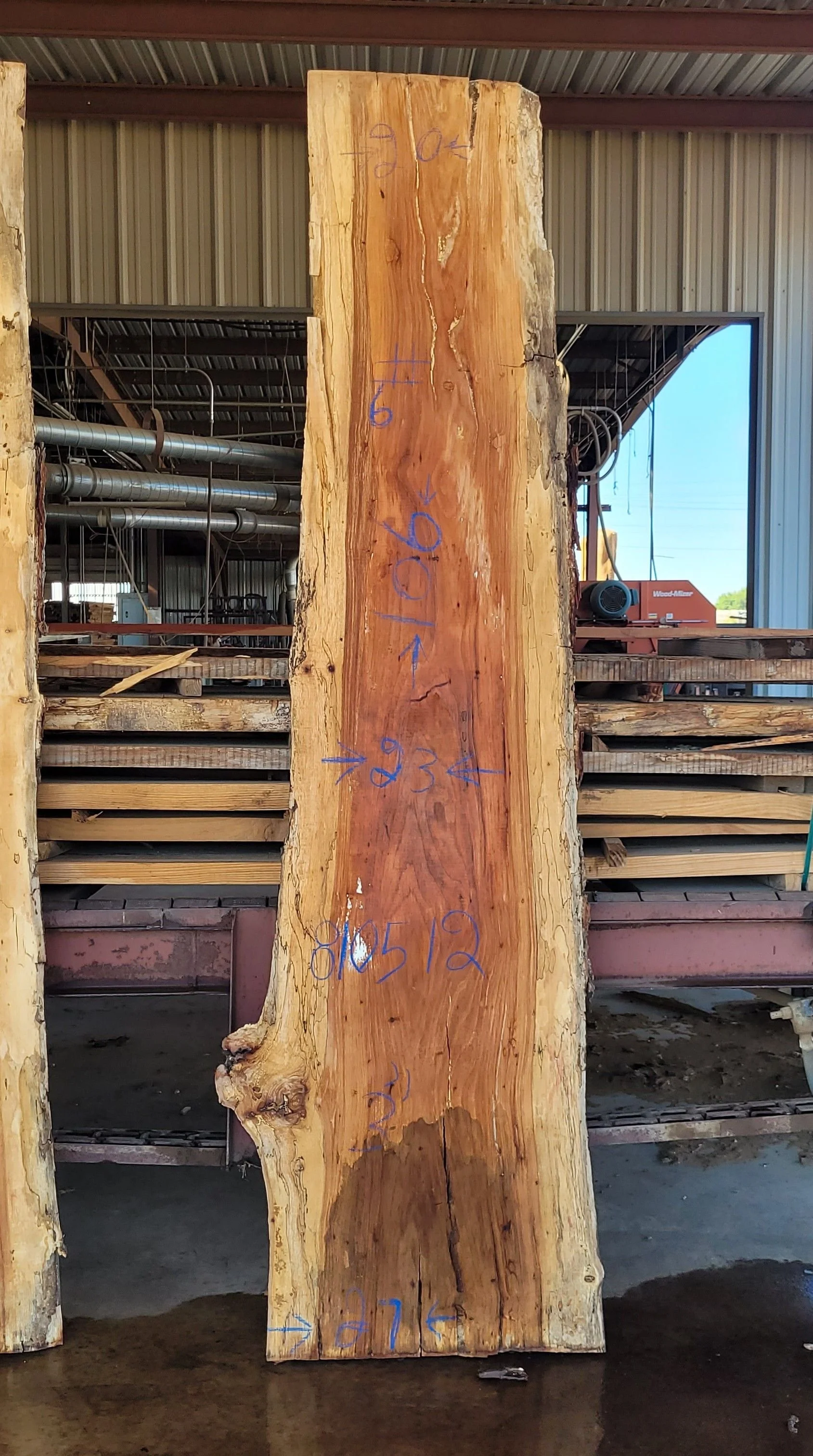 Pecan Slabs - Available — harden SAWMILL