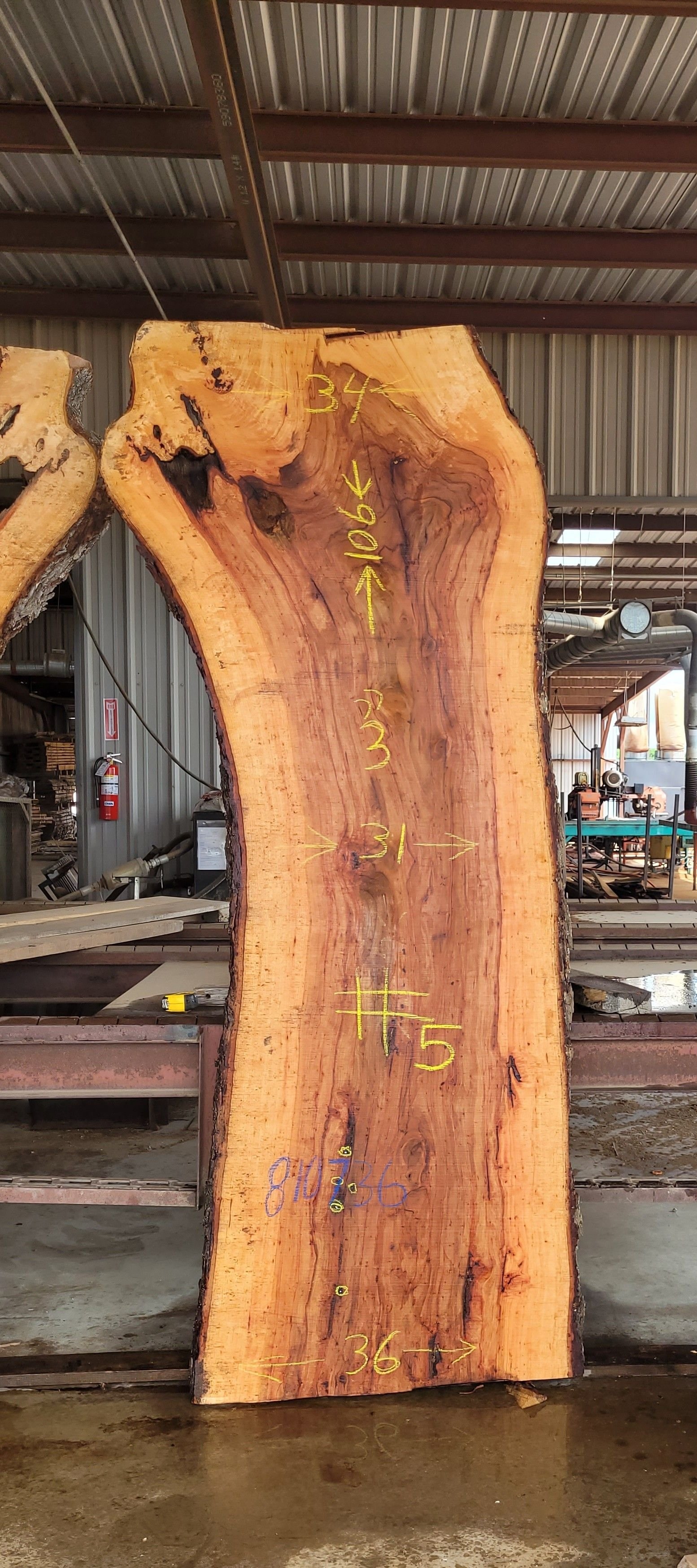 Pecan Slabs - Available — harden SAWMILL