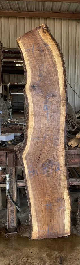 Black Walnut Slabs 2 Available — harden SAWMILL