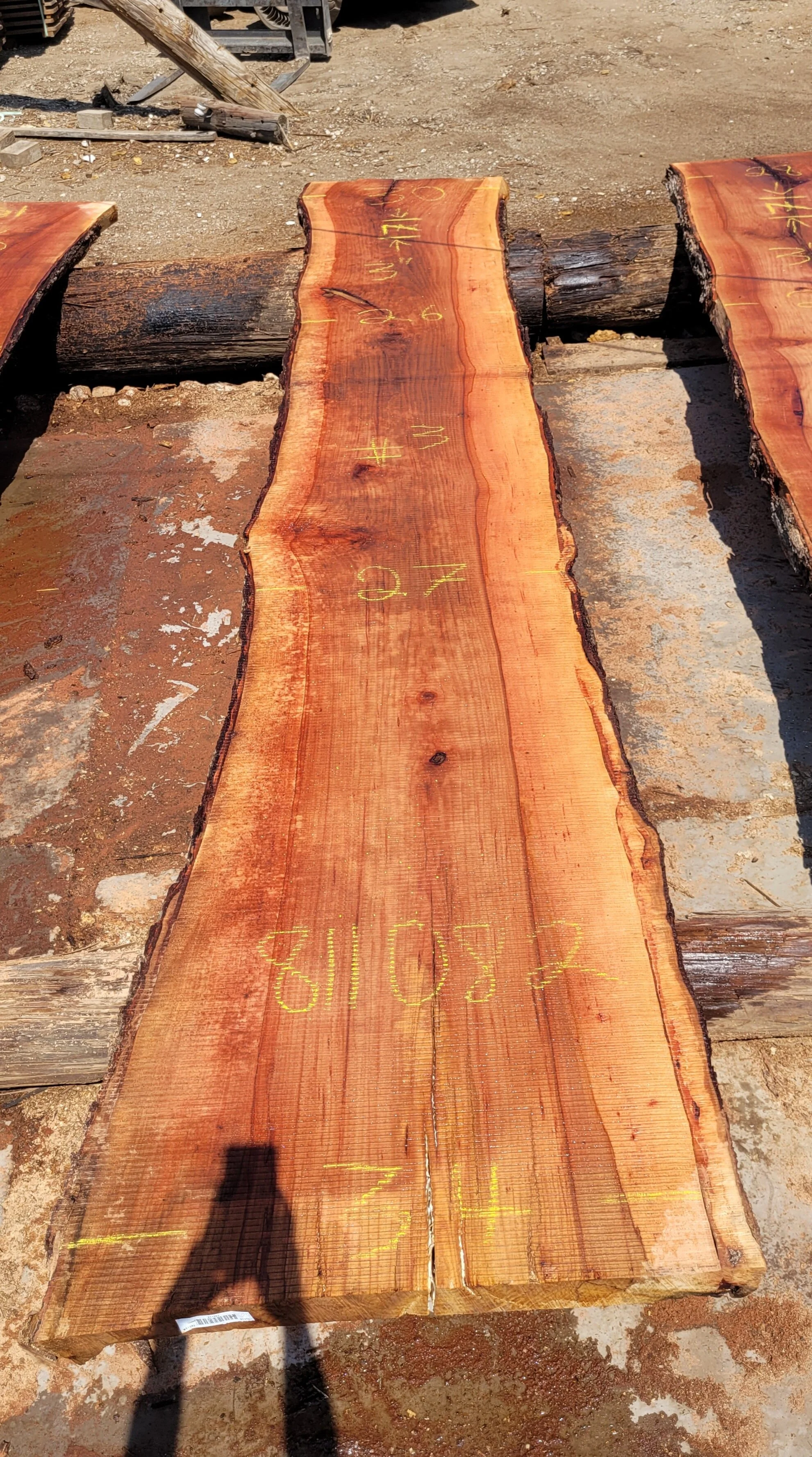 Pecan Slabs - Available — harden SAWMILL