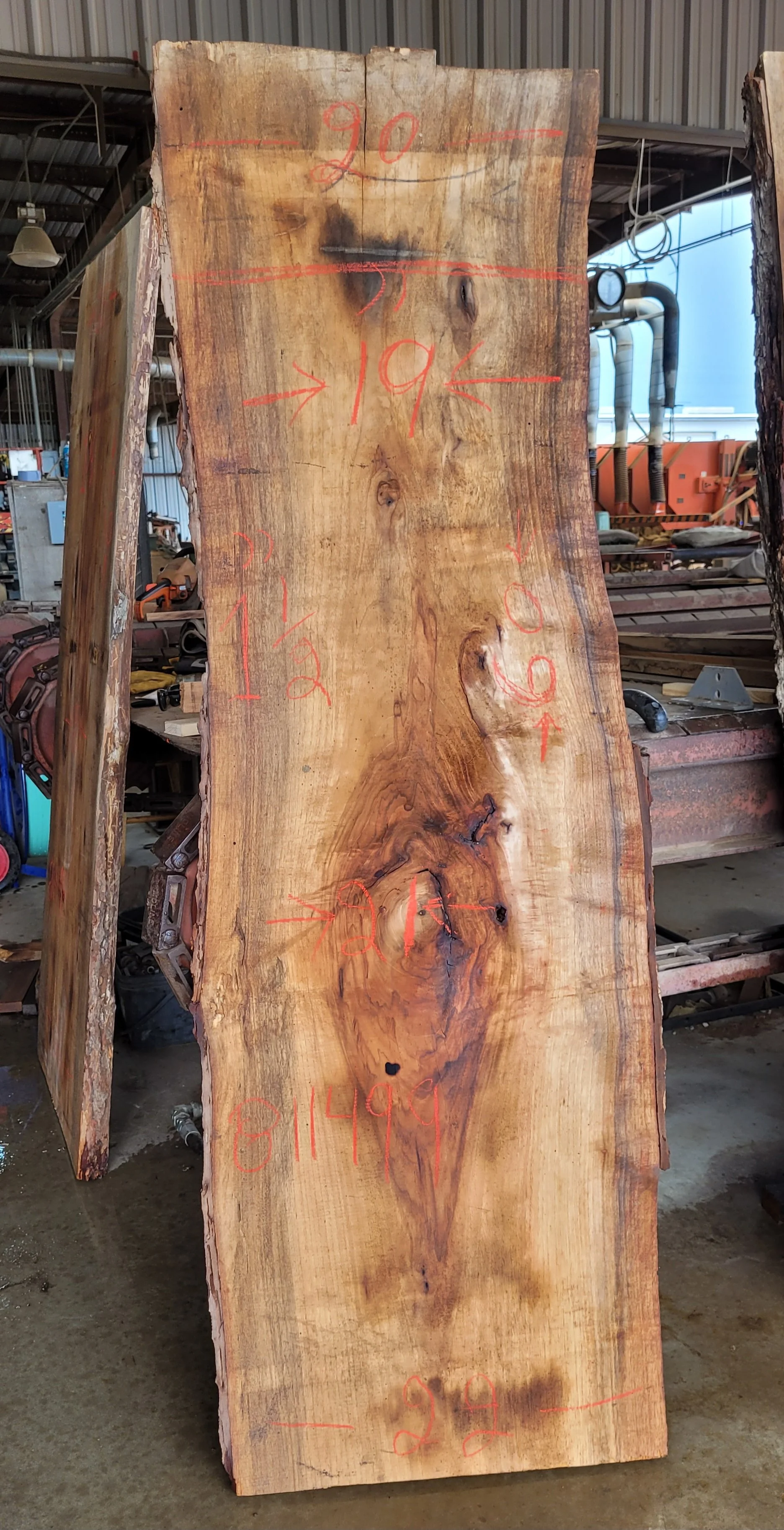 Pecan Slabs - Available — harden SAWMILL