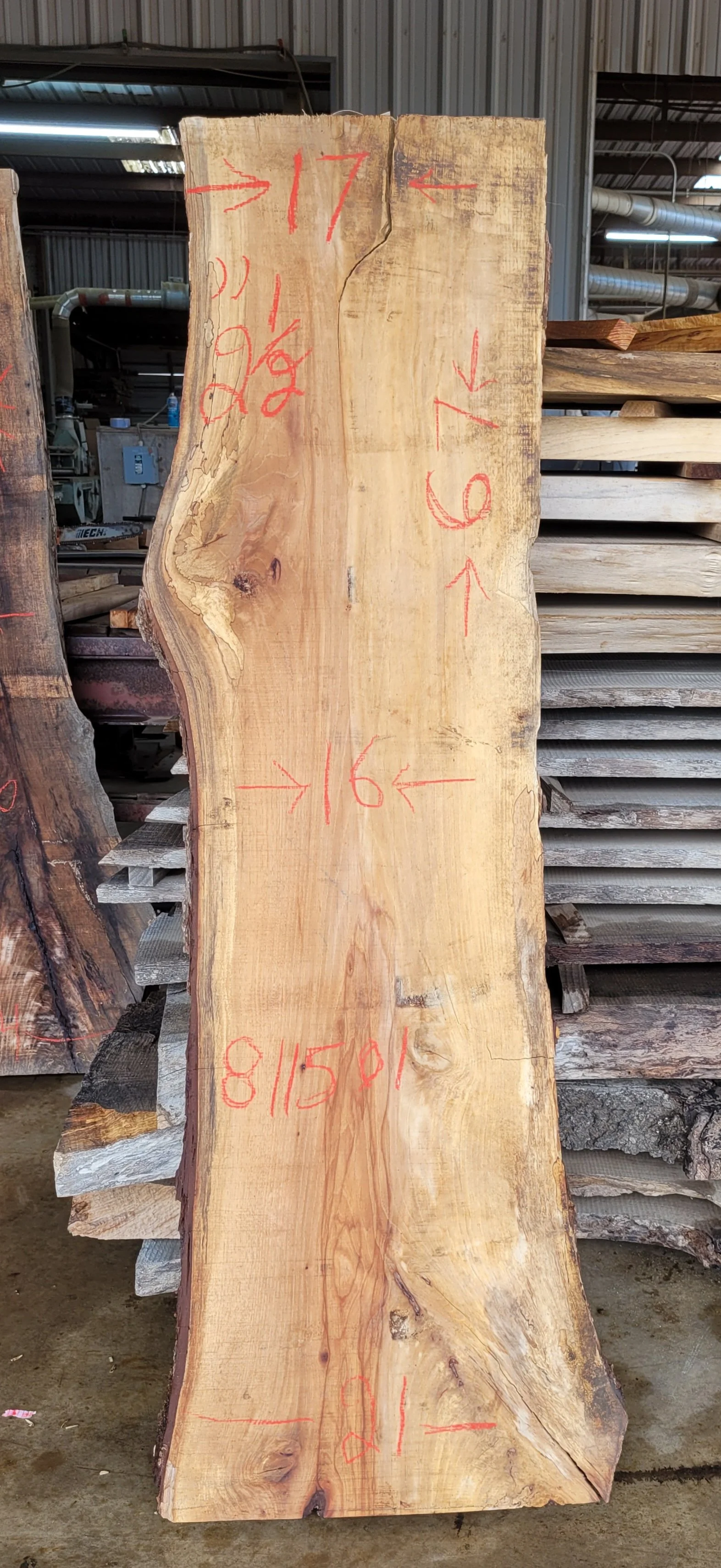 Pecan Slabs - Available — harden SAWMILL