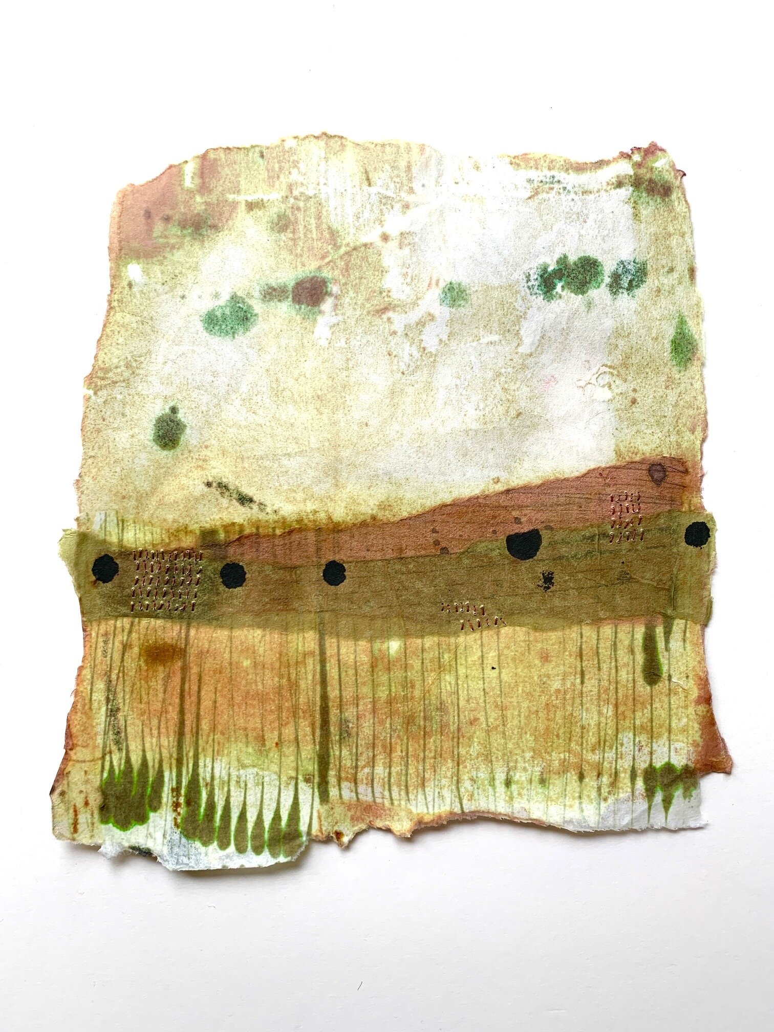 the bruce series — Roberta Wagner