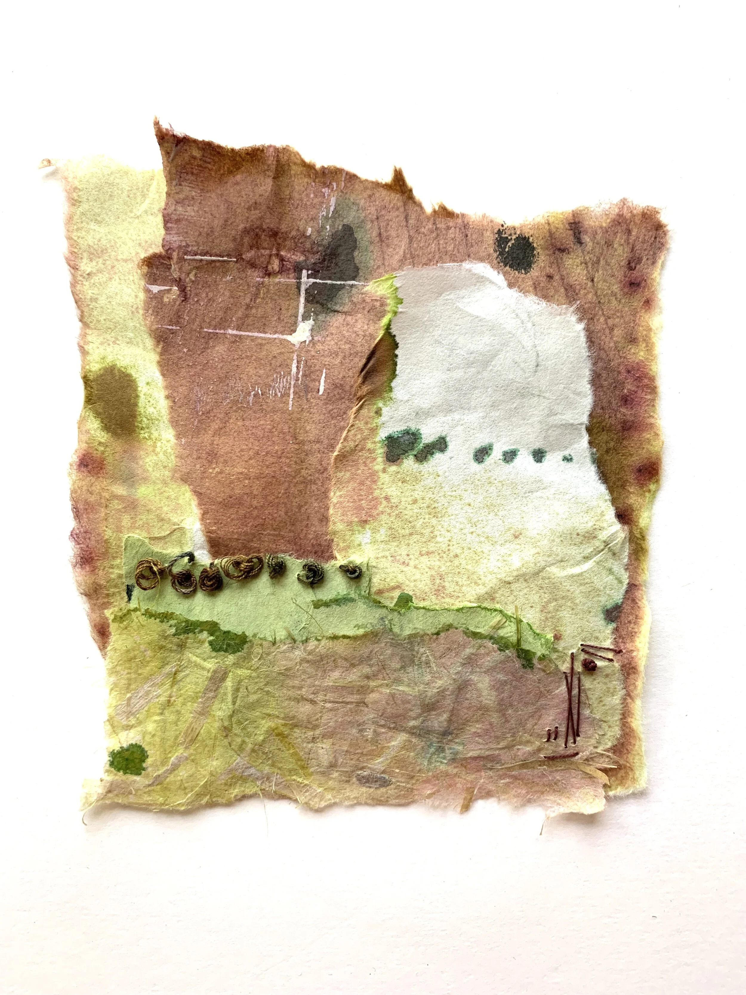 the bruce series — Roberta Wagner