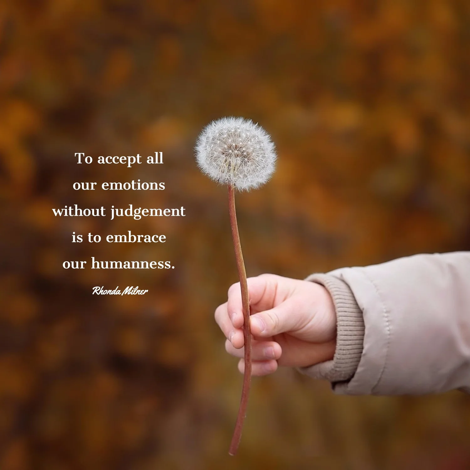 For Every Time There is a Season — Healing Presence Ministry