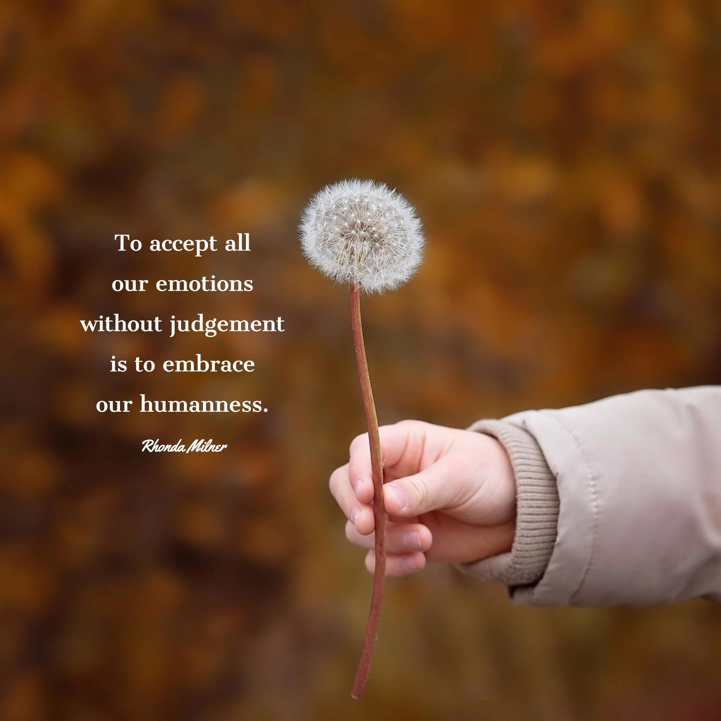 For Every Time There is a Season — Healing Presence Ministry