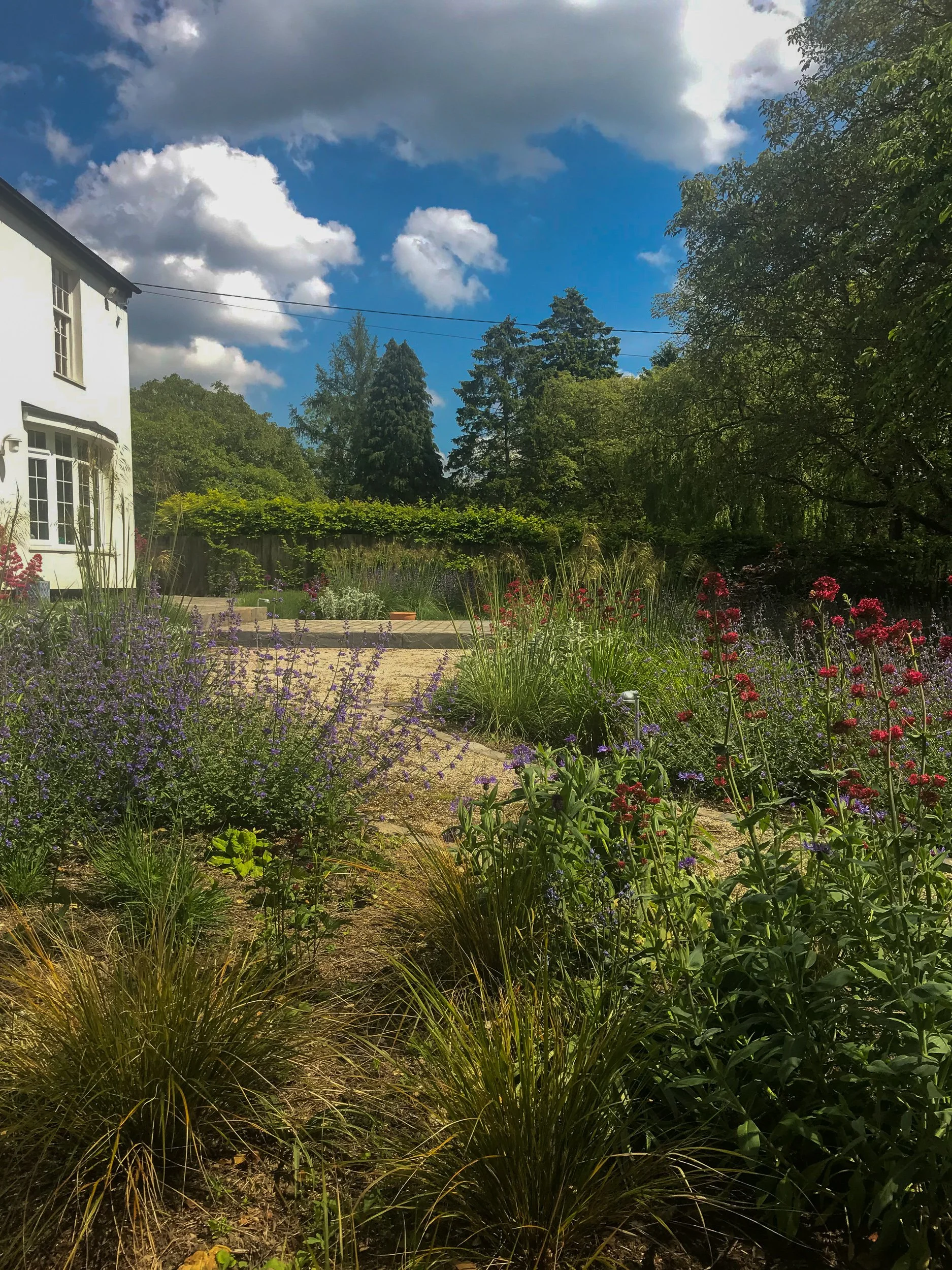 Front Garden | Hardwick, Cambridge — SUPERNATURE GARDEN