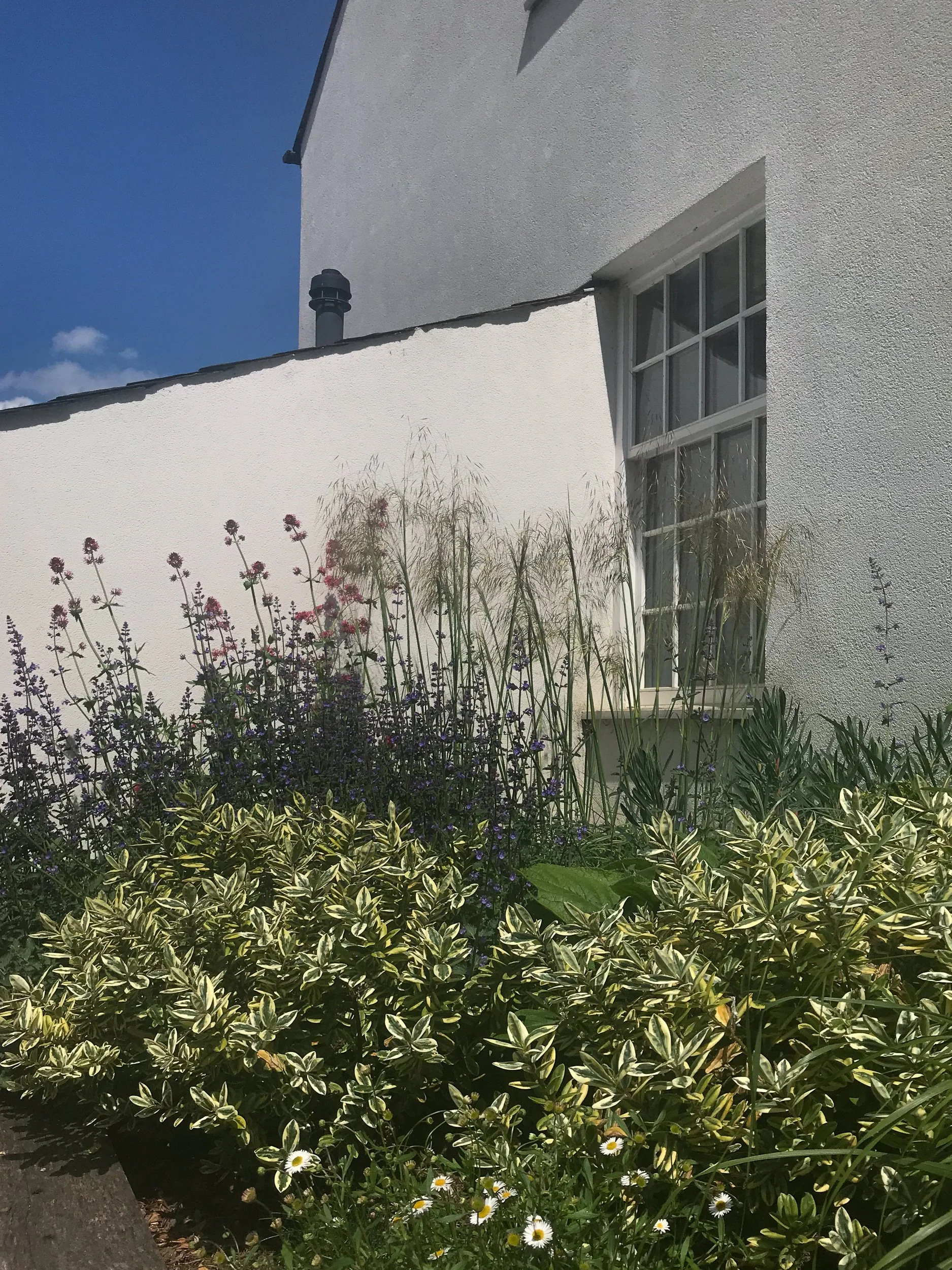 Front Garden | Hardwick, Cambridge — SUPERNATURE GARDEN