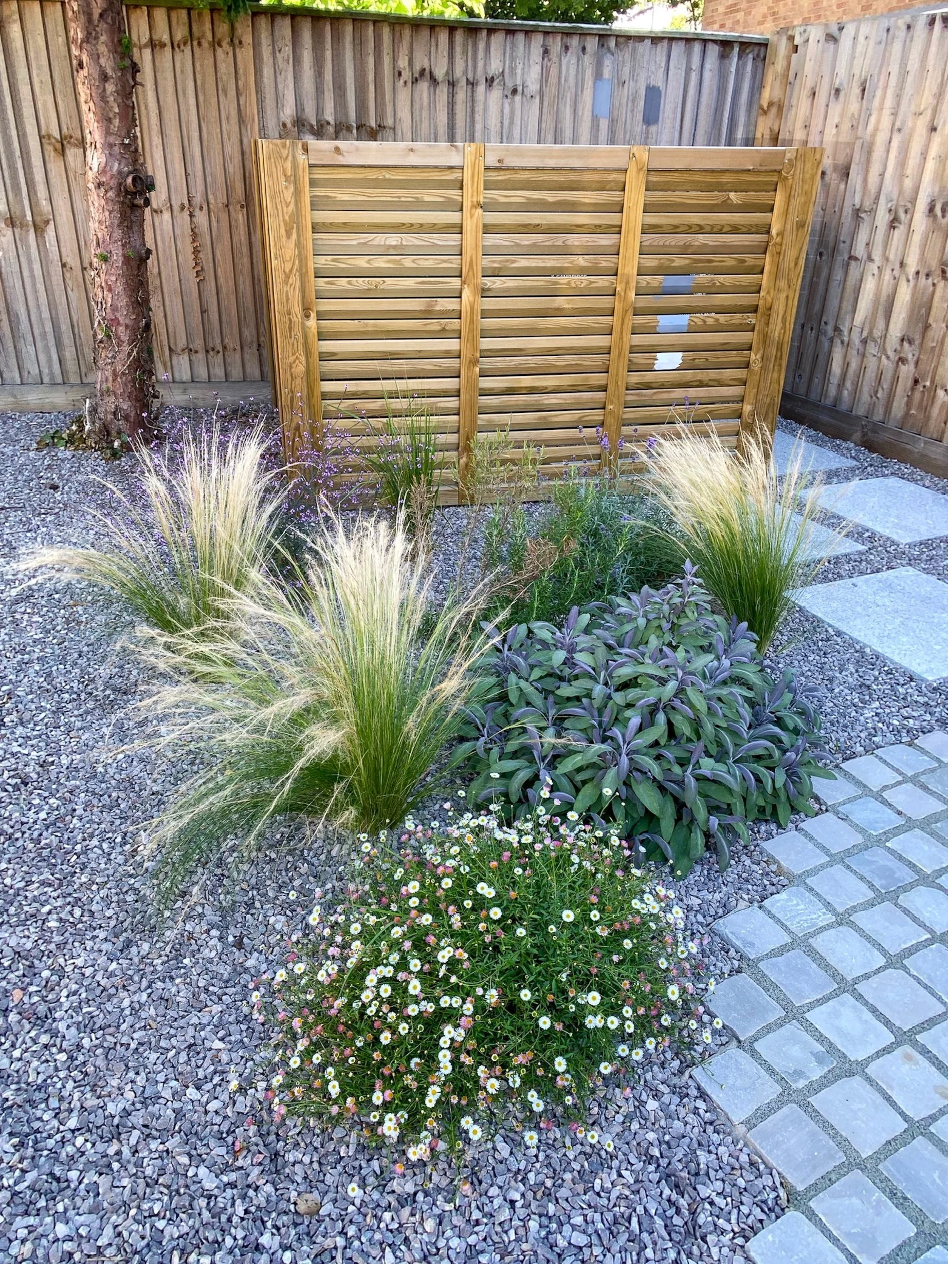Contemporary Front Garden | Histon, Cambridge — SUPERNATURE GARDEN
