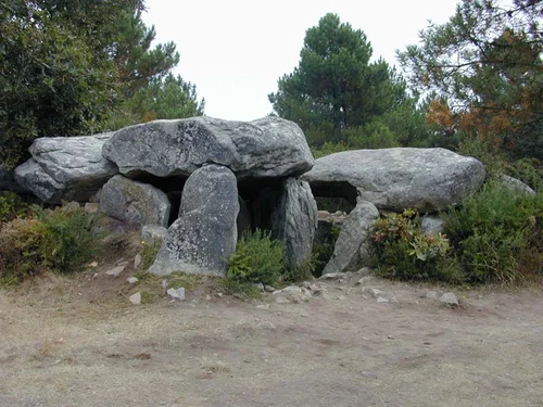 Modern Neolithic Architecture