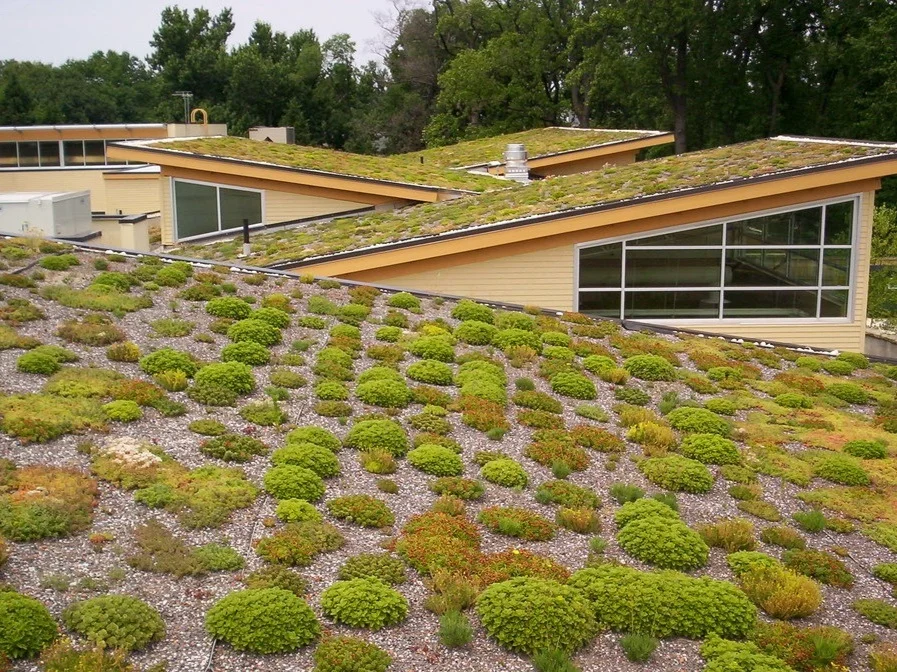 Innovative Green Roof Design